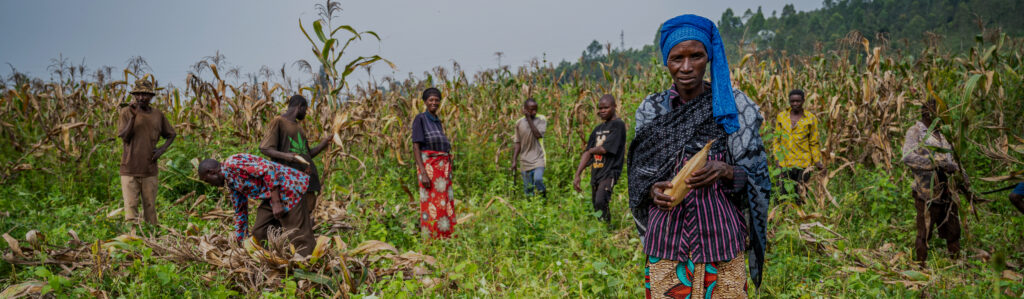 Rwanda - Cordaid International