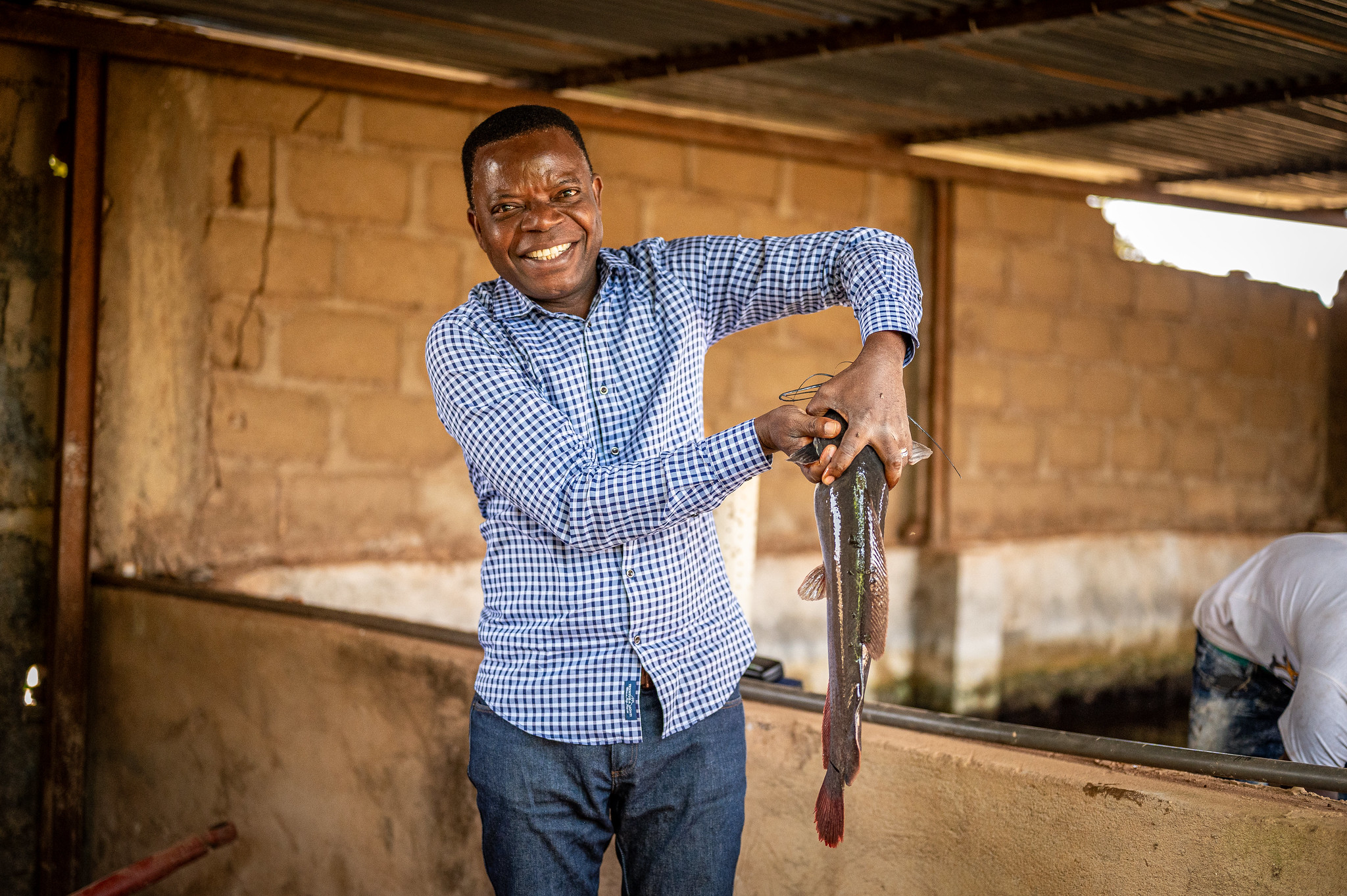 Meet the Women and Young People Running Mali’s Rooftop Hatcheries and ...