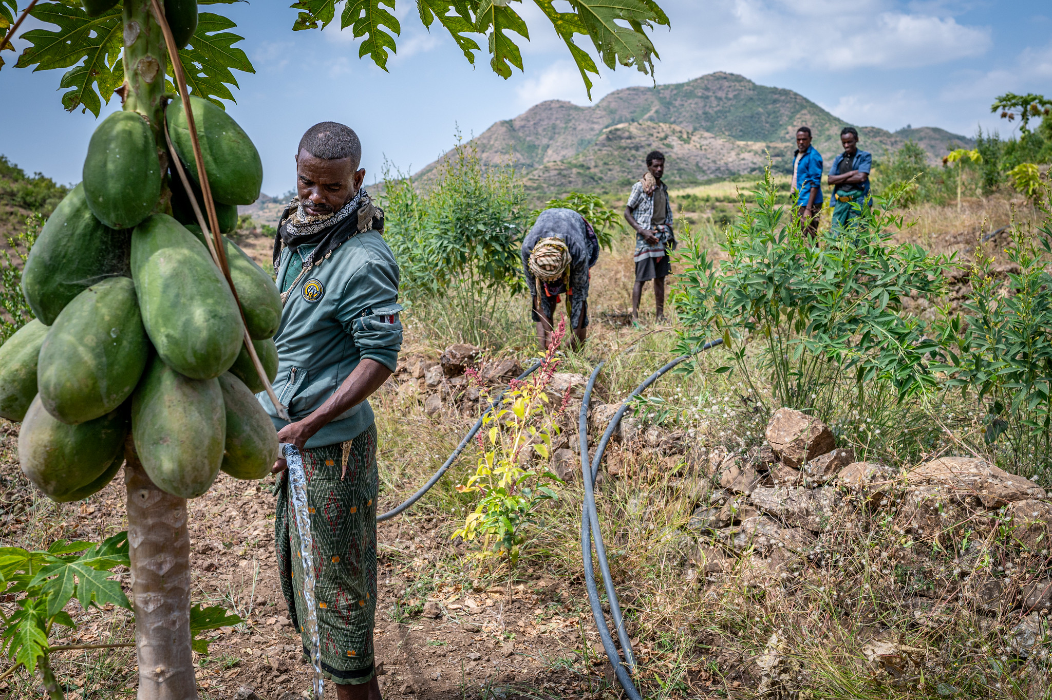 'I Will Never Migrate Again': How Climate-Smart Agriculture is ...