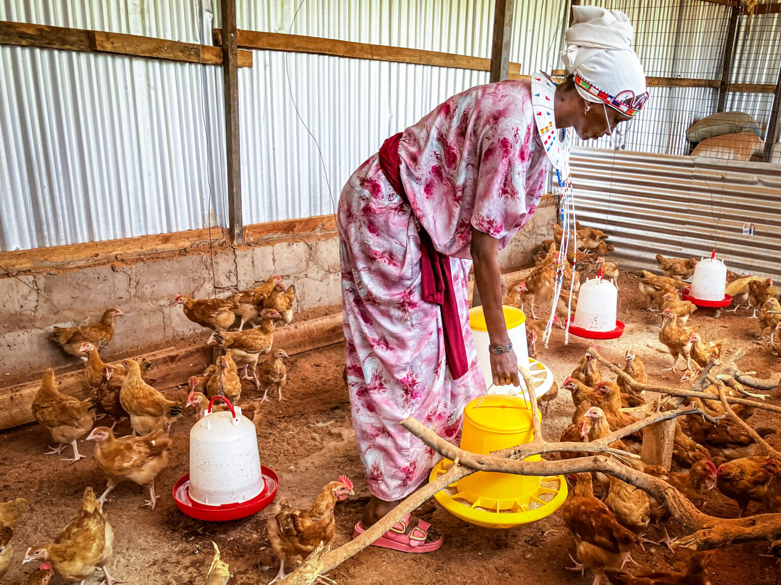 Transforming Women’s Livelihoods Through Cricket Rearing in Kenya ...