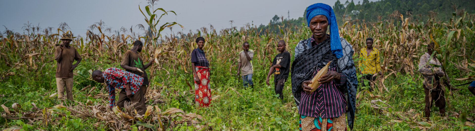 Rwanda - Cordaid International