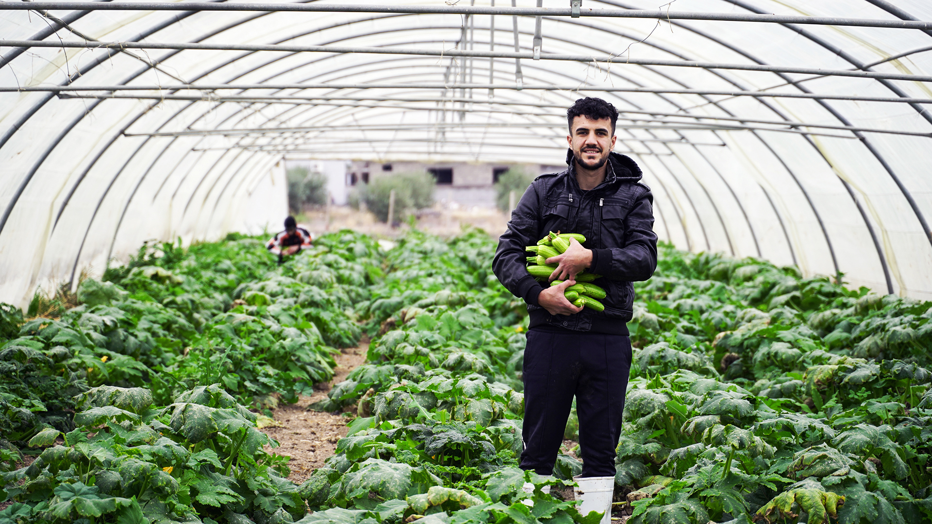 Revitalising agriculture and agribusinesses in Hawija - Cordaid ...