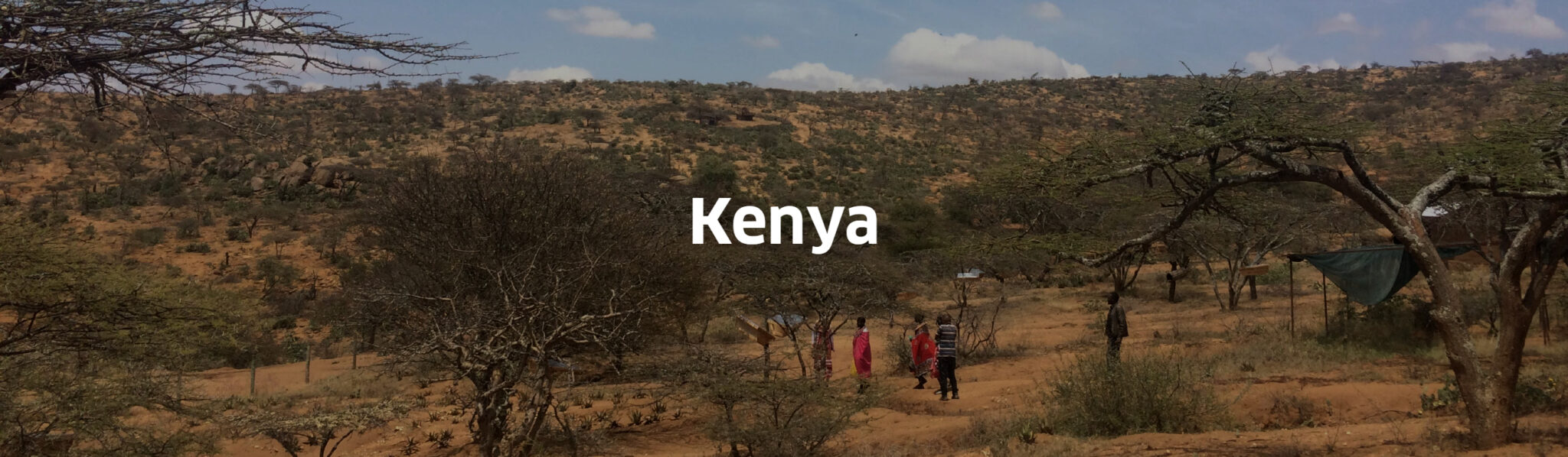 Where we work - Cordaid International