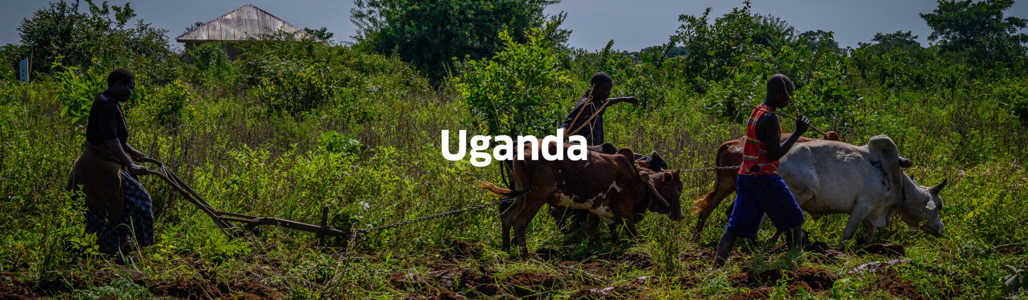 Where we work - Cordaid International