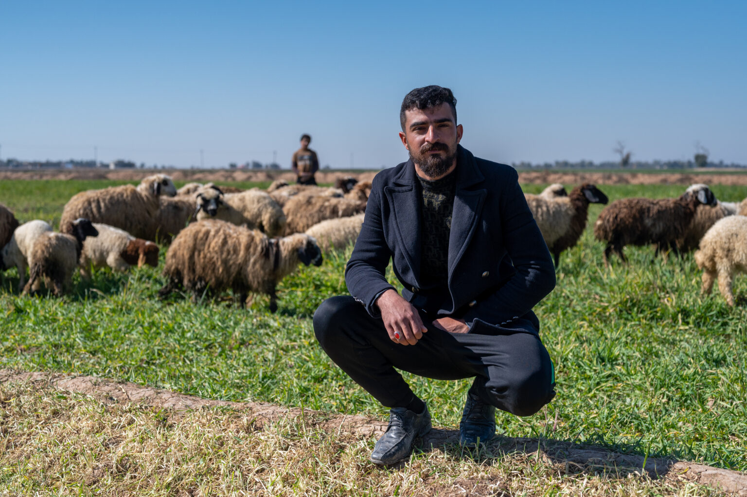 The Salt Solution: growing salt-tolerant vegetables in Bangladesh ...