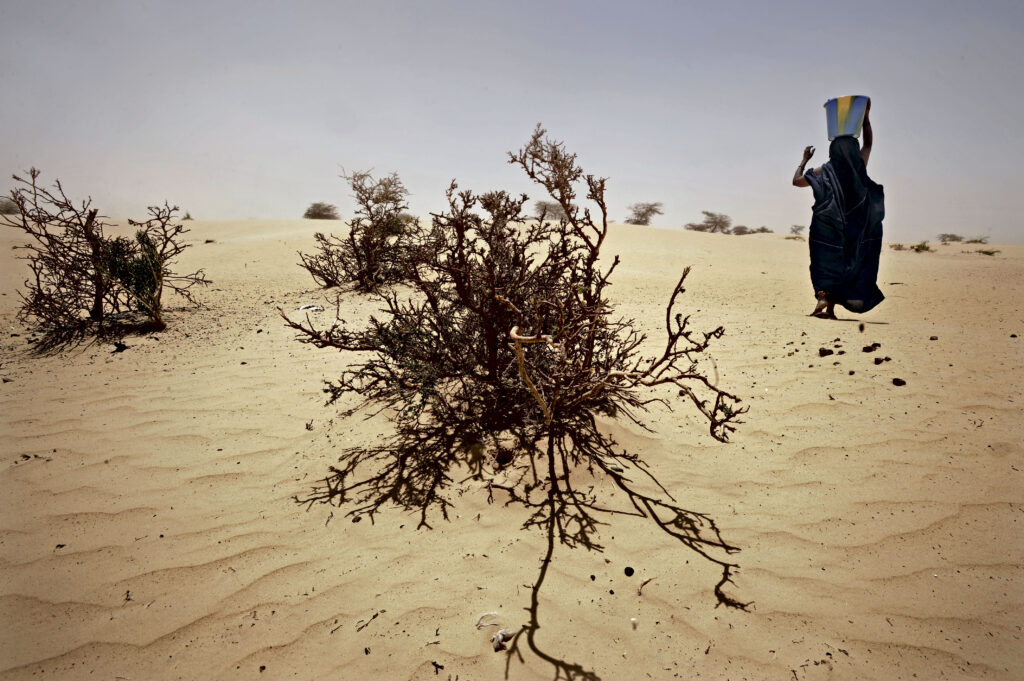 Addressing the climate crisis in fragile and conflict-affected settings ...